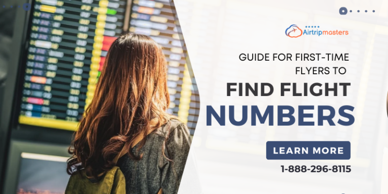 Guide for First Time Flyer To Find Flight Numbers | Air Trip Masters